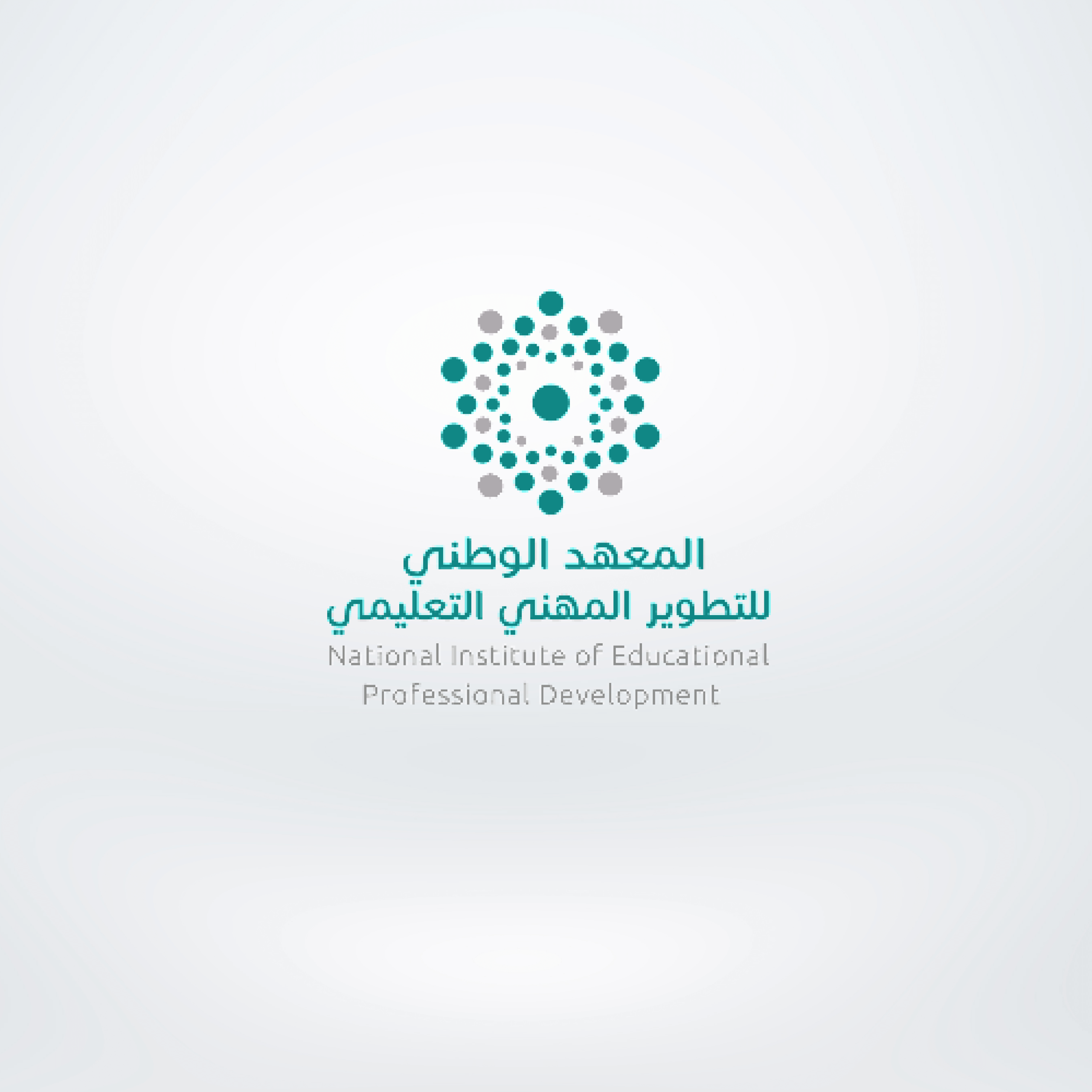 المعهد الوطني للتطوير المهني التعليمي - Merkai